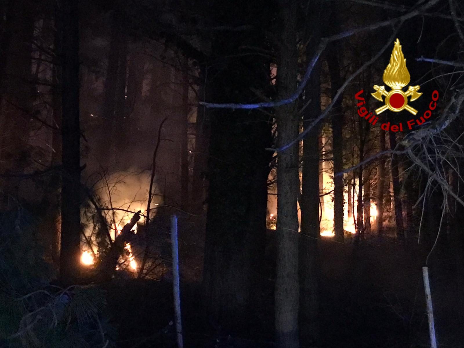 La Regione Campania approva il piano contro gli incendi boschivi per il ... La Regione Campania approva il piano contro gli incendi boschivi per il ...