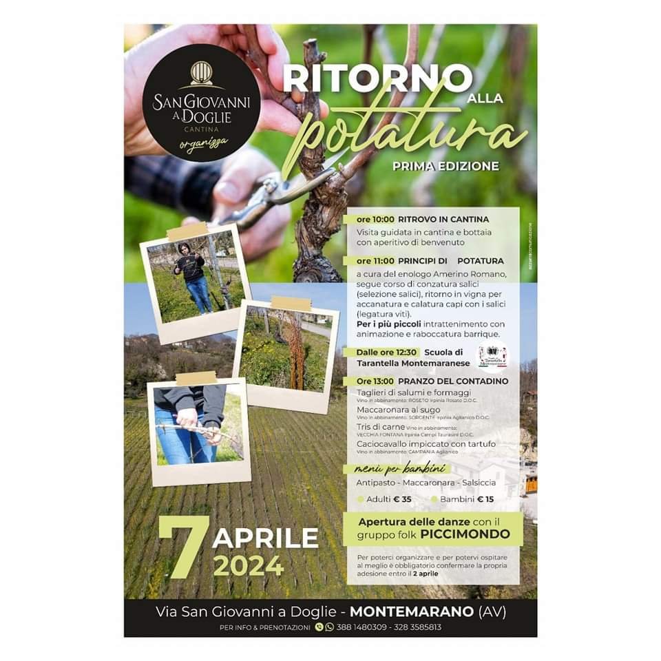 Montemarano, alle cantine San Giovanni a Doglie la prima edizione ...