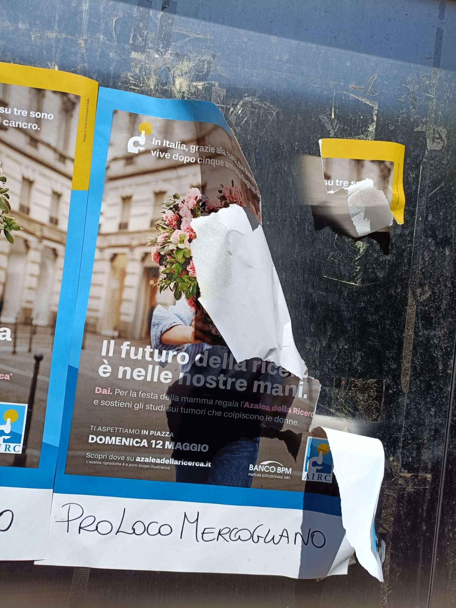 Vandali in azione contro la sede della Pro Loco di Mercogliano ...